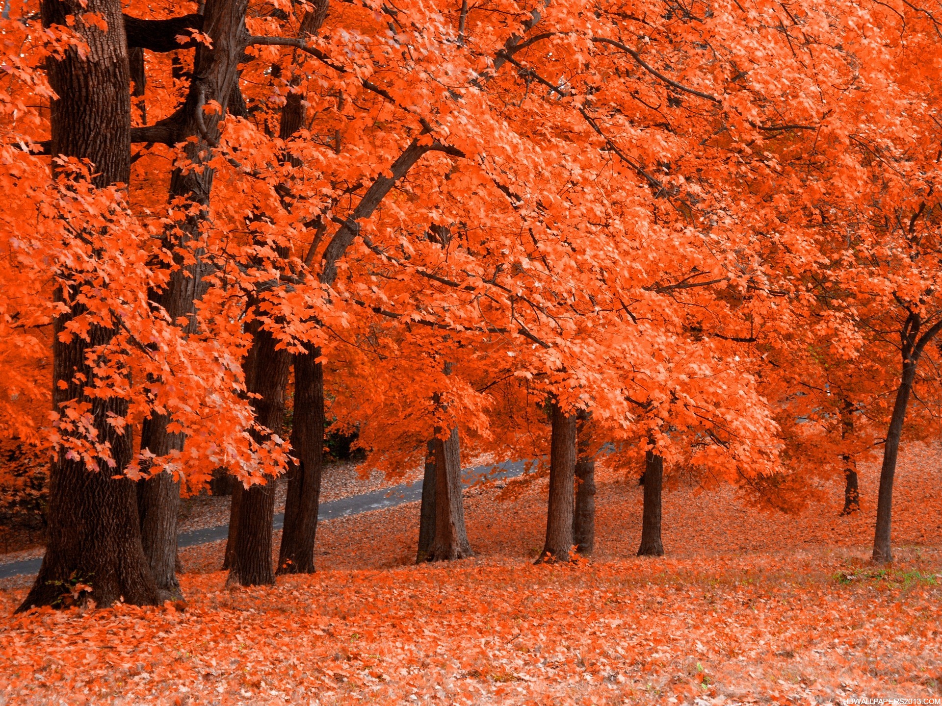 Autumn Wallpaper High Definition Wallpapers High Definition Backgrounds